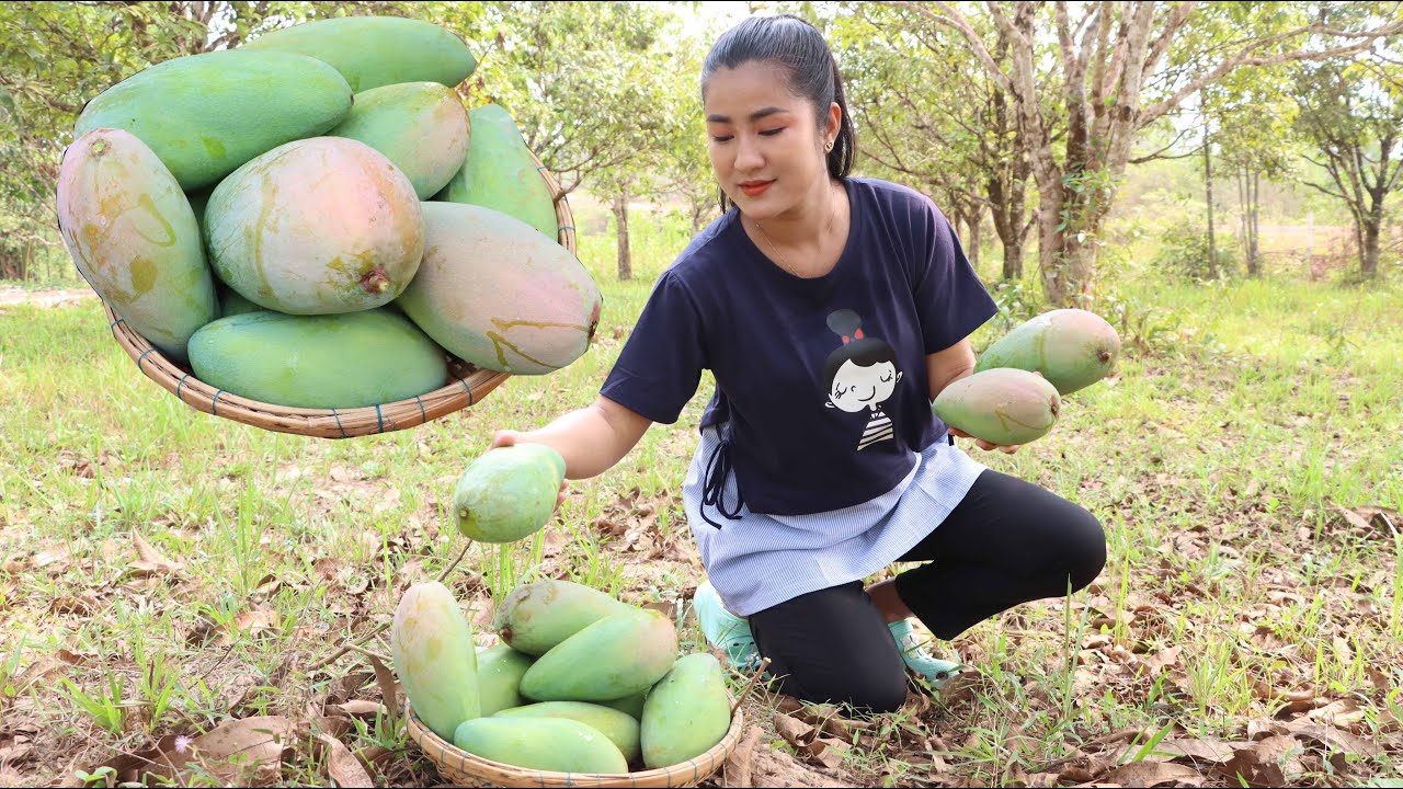 It's called Thai Mango at my place - Pregnant mom pick big mango for ...