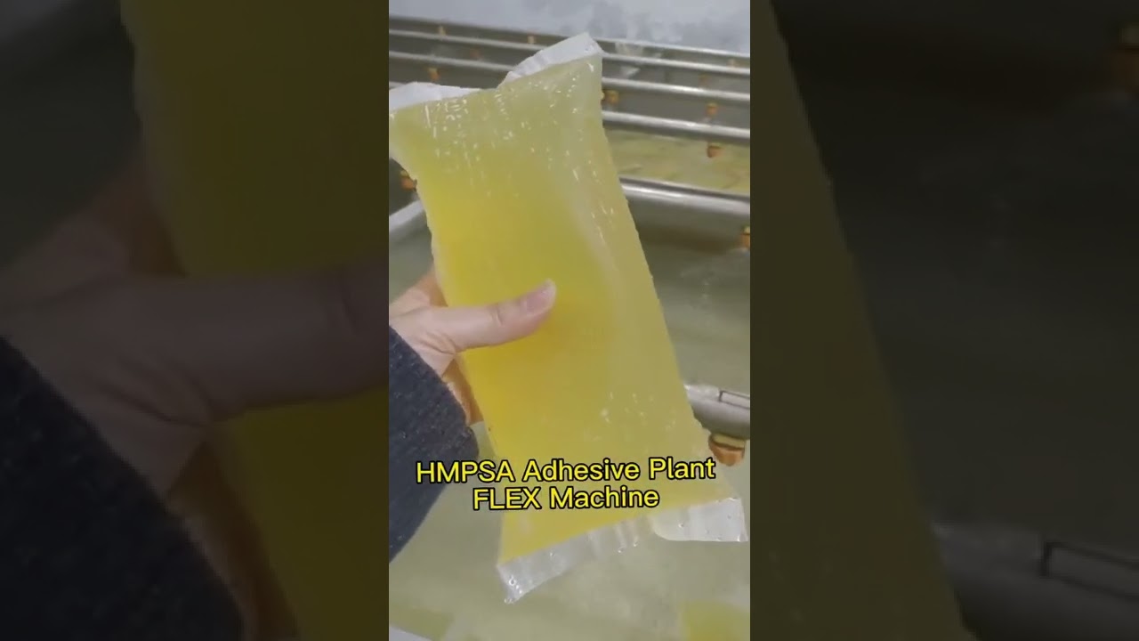 Hot Melt Adhesive Hma/PSA Pillow Shape Packing Machine - YouTube