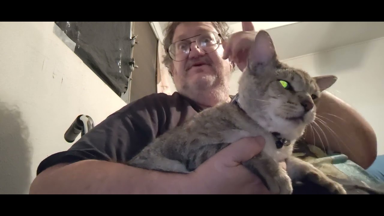 Going "Stir-Crazy" in beautiful Hawaii - YouTube