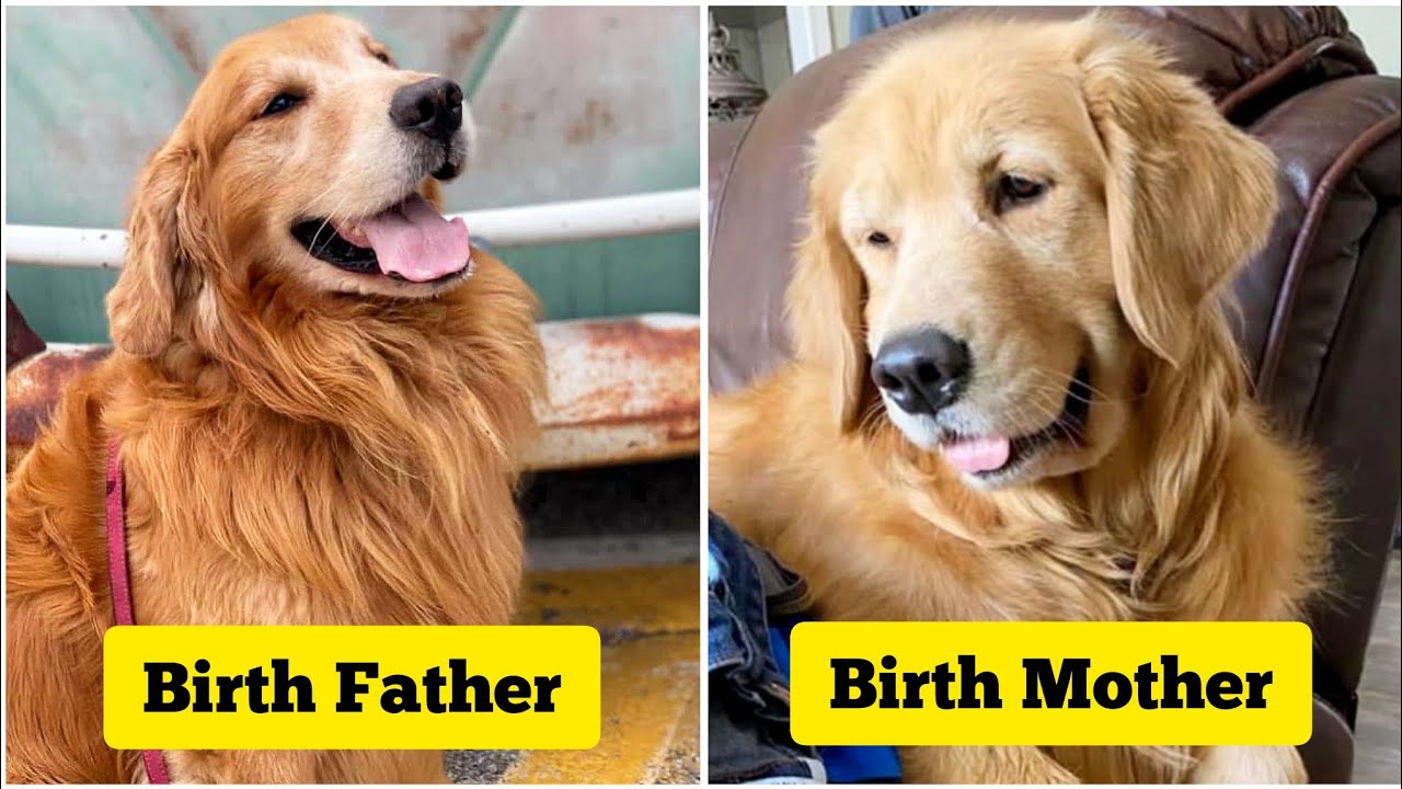 Tucker Budzyn's Birth Father & Mother @TuckerBudzyn - YouTube