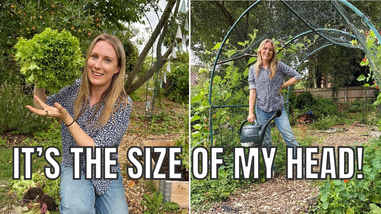 TIDYING UP THE MESSY ALLOTMENT PLOT / ALLOTMENT GARDENING UK - YouTube