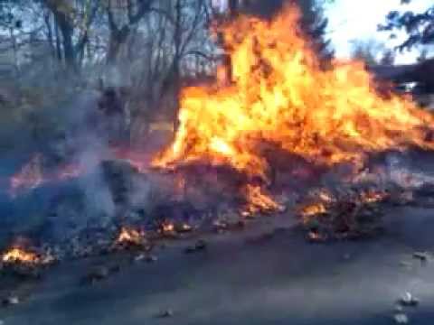 Epic Leaf Burning Explosion - YouTube