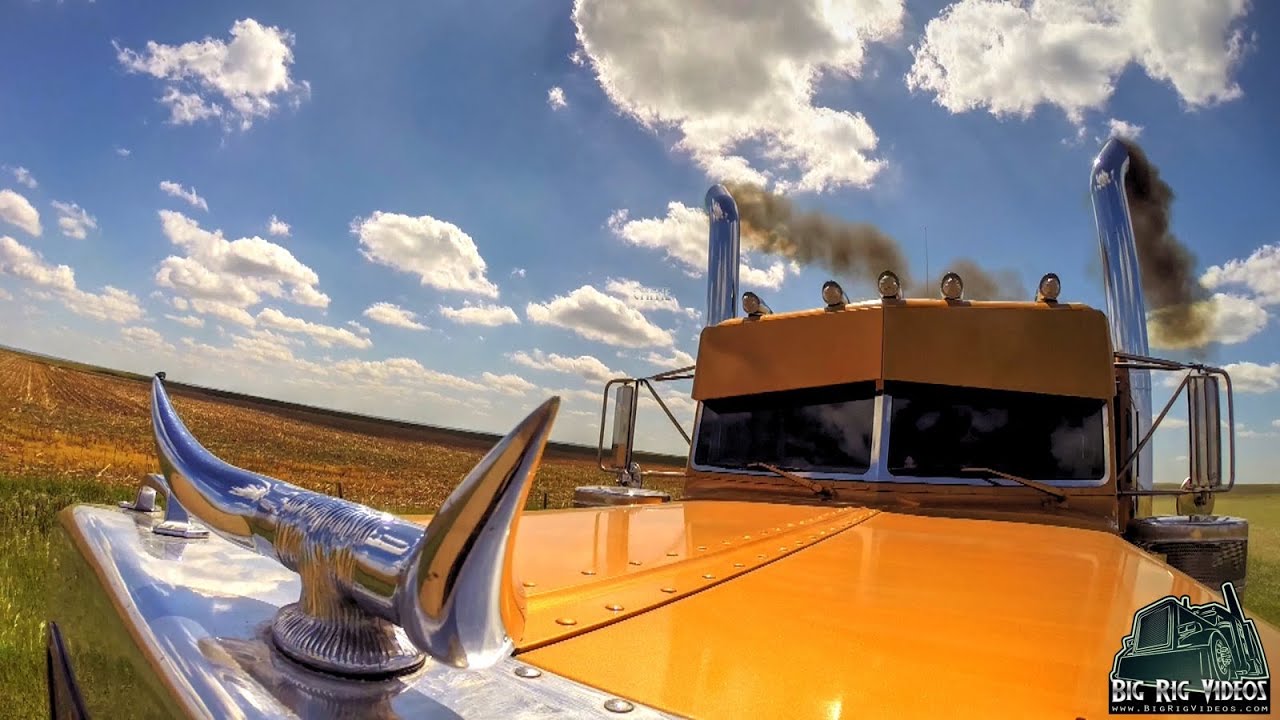 Bull-It Angus, Inc.- "After The Show" - YouTube