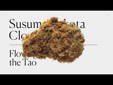 Flowing with the Tao by Susumu Yokota - Music from The state51 Conspiracy