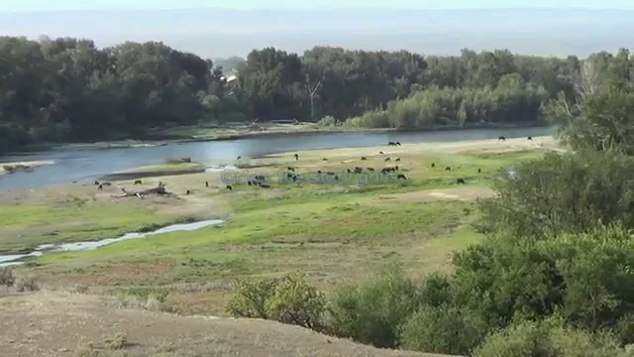 Legend of the Swamp Lady - YouTube