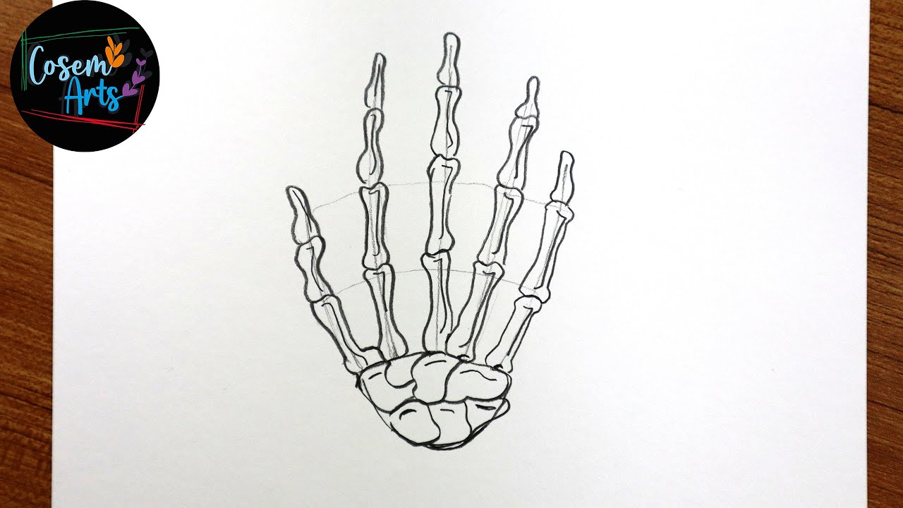 how to draw a skeleton hand - YouTube
