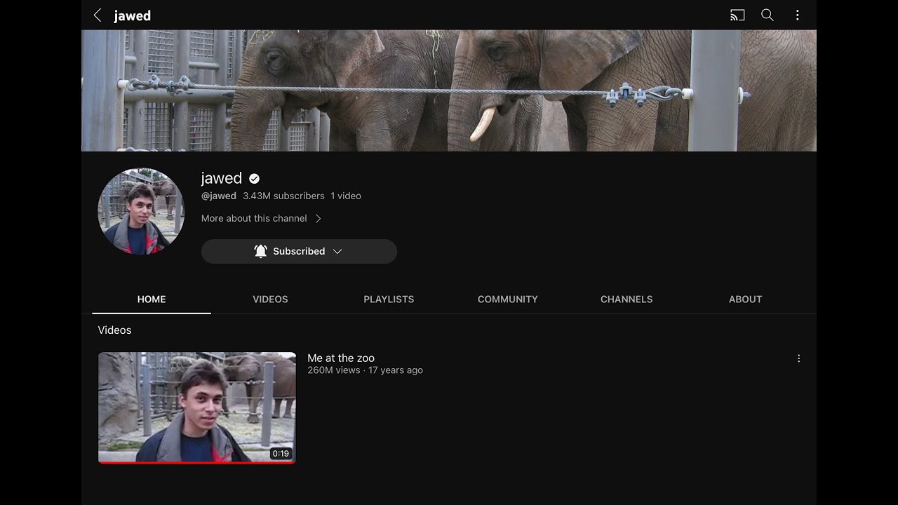 @jawed CHANGED HIS PROFILE PICTURE + MORE! - YouTube