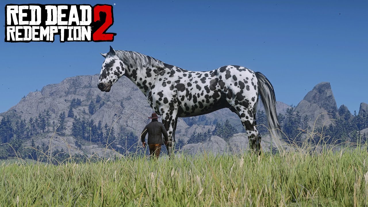 I found this free rare horse behind a stable - RDR2 - YouTube
