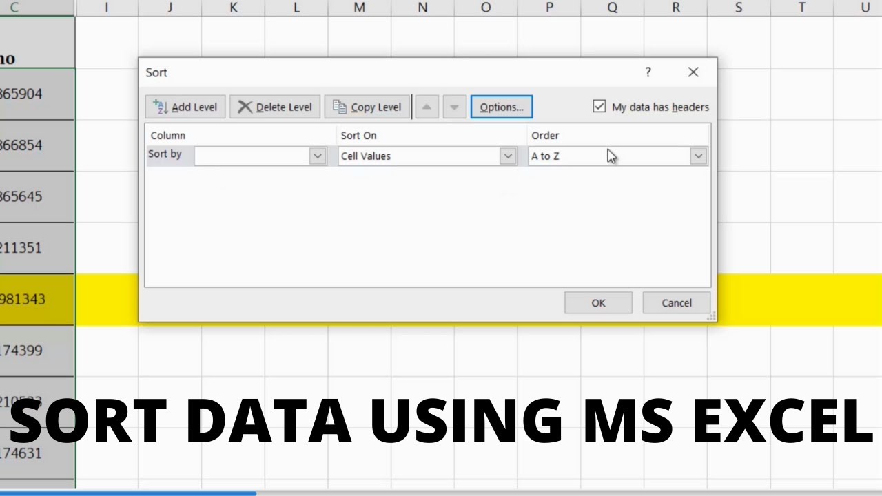 How To Sort Data In Excel (Step by Step Guide) - YouTube