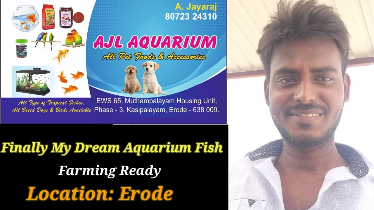 Finally My Dream Aquarium Fish Farming Ready|AJL Aquarium|Erode|A ...