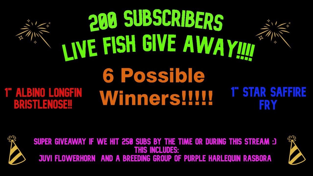 200 Subsriber Giveaway Stream!!!! - YouTube
