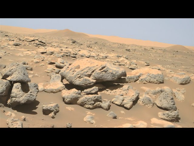What Does The Surface Of Mars Really Look Like - Infoupdate.org