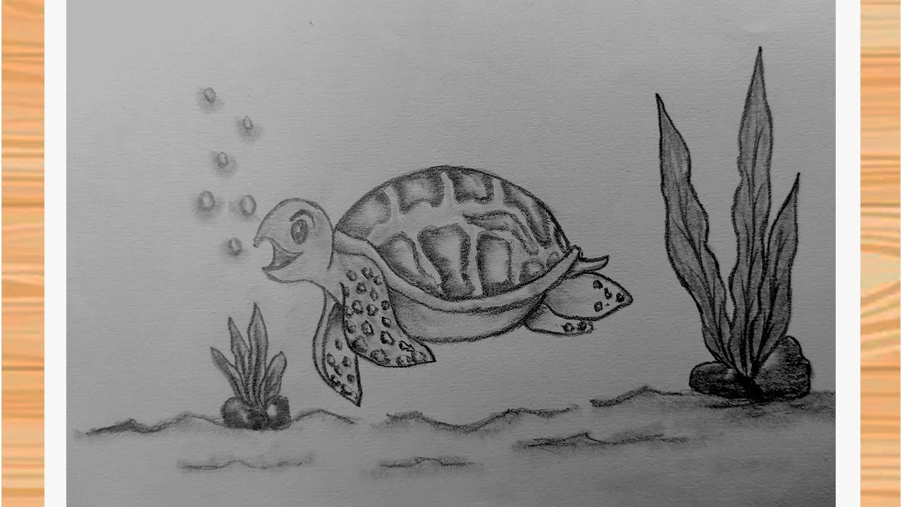 How to draw a tortoise step by step easy || Tortoise drawing easy ...