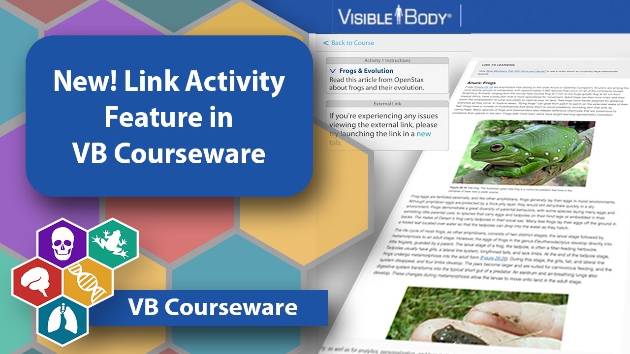 New! Link Activity Feature in Visible Body Courseware - YouTube