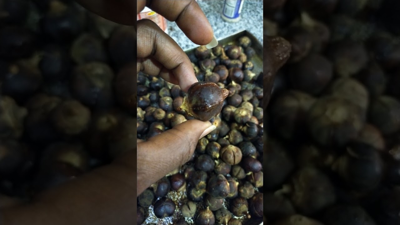 Gorontula Secret - YouTube