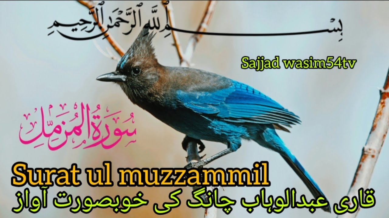 al Quran Surah muzammil Touching Heart| Tilawat Quran beautiful voice ...
