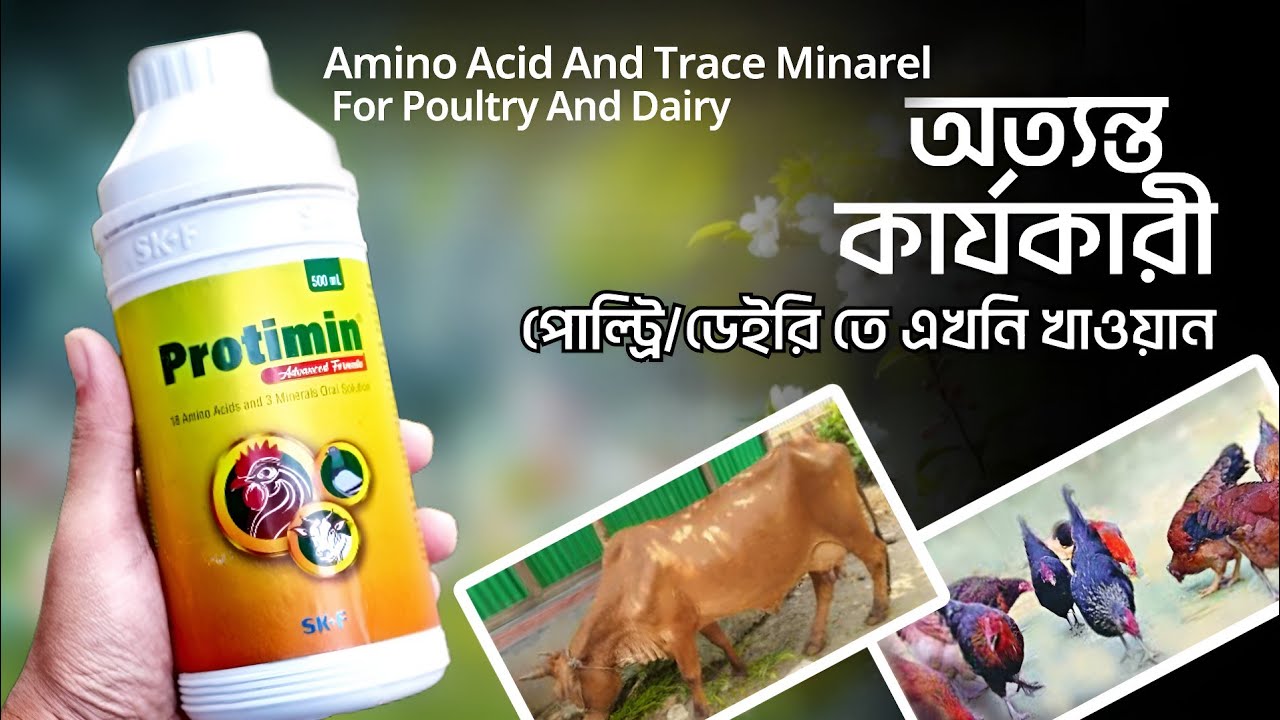 গরু-ছাগল হাঁস-মুরগীর ওজন বৃদ্ধি ও প্রজনন ক্ষমতা বৃদ্ধিকারক ওষুধ ...