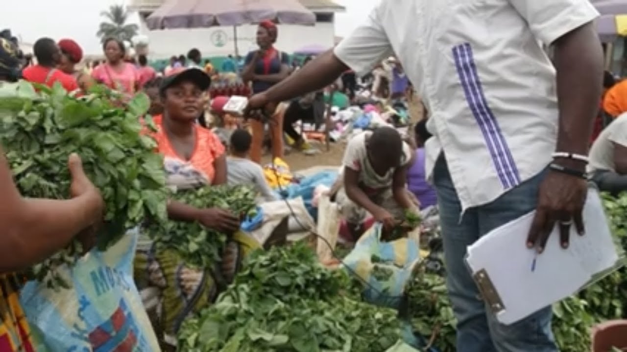 How Muea Market in Buea is the best place for groceries and local ...