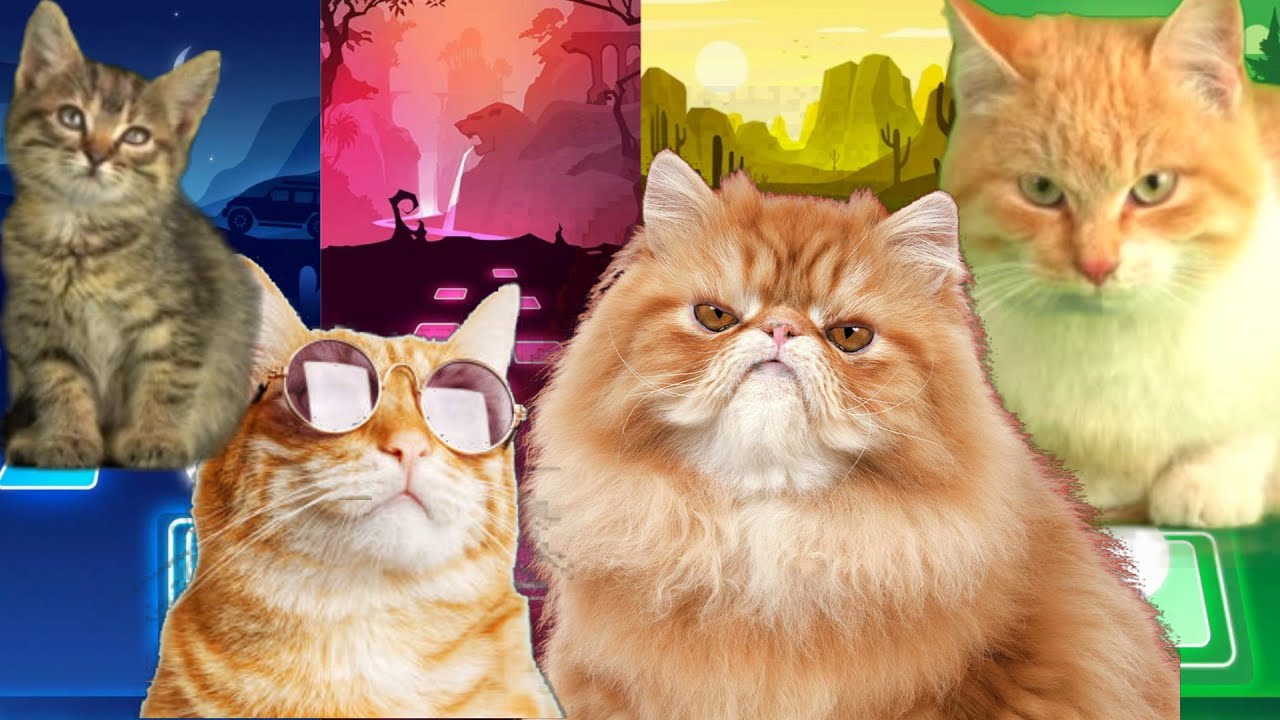 Cute Cats | Lady Gaga vs Jisoo vs Dance Monkey vs Jisoo | Tiles Hop EDM ...