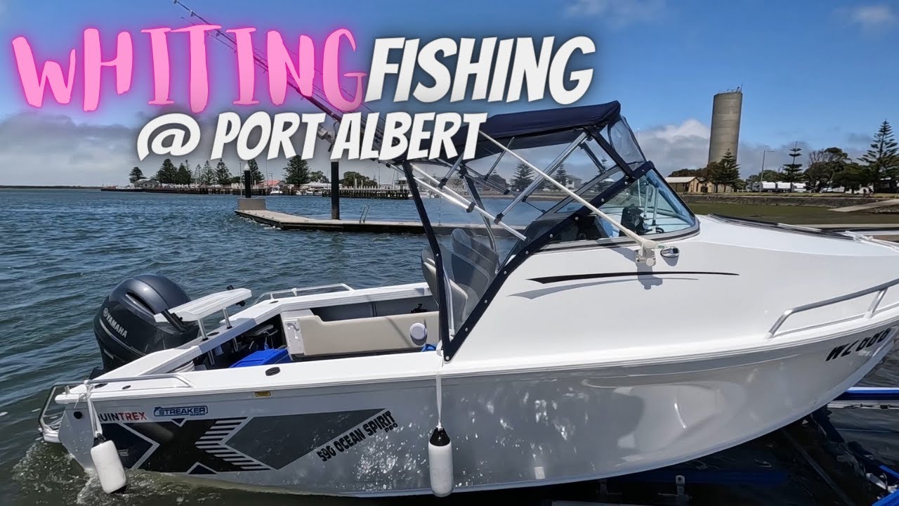 Port Albert Whiting Fishing from new Qunitrex 590 Ocean Spirit Pro ...