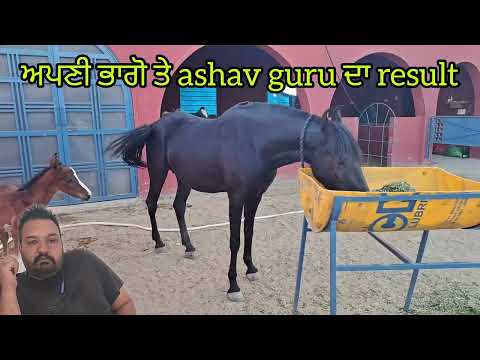 ਭਾਗੋ ਤੇ ashav guru ਦਾ result - YouTube