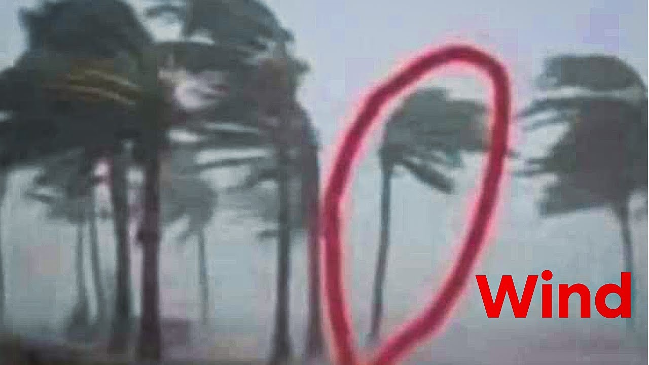 I Am Not a Scientist But This Tree Was Planted by a Woman - YouTube