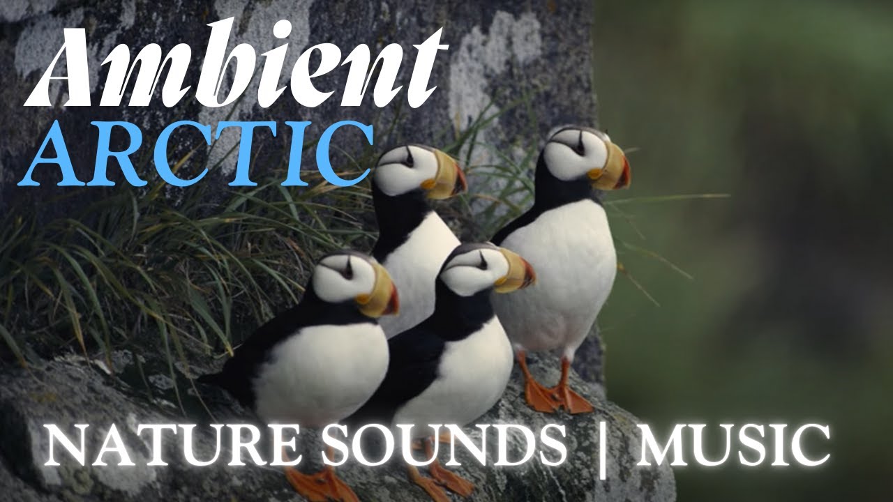 Spirit of the Arctic Ambient Version - YouTube