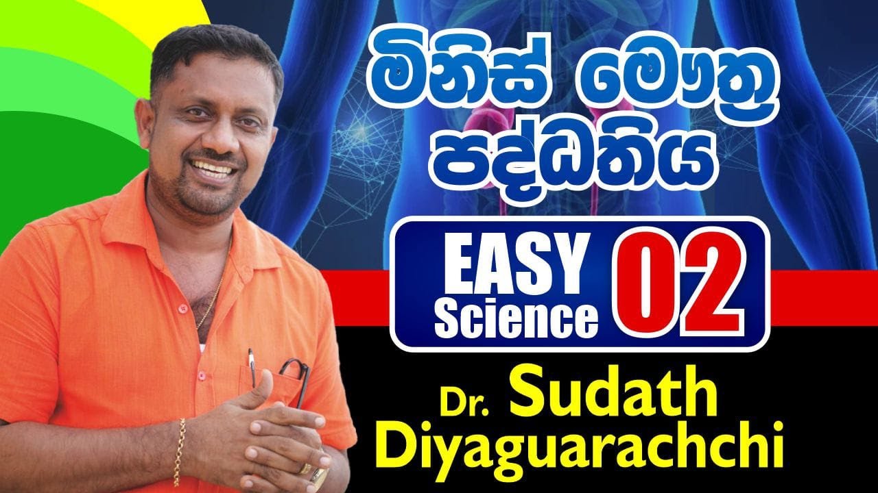 Easy Science 02 මිනිස් මෞත්‍ර පද්ධතිය - YouTube