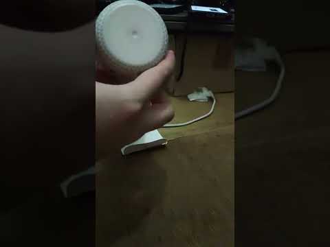 Unboxing Kenikmatan Duniawi  Snail Cup White An*L version, cekibrot! link pembelian dideskripsi ya!