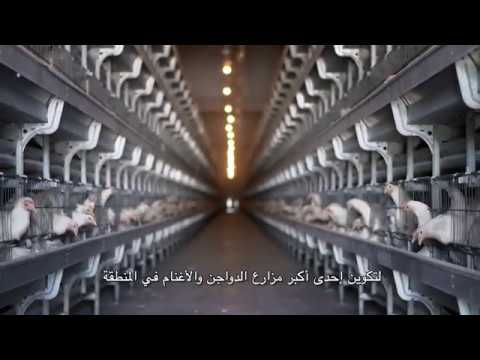 Al Bustan Farms - YouTube