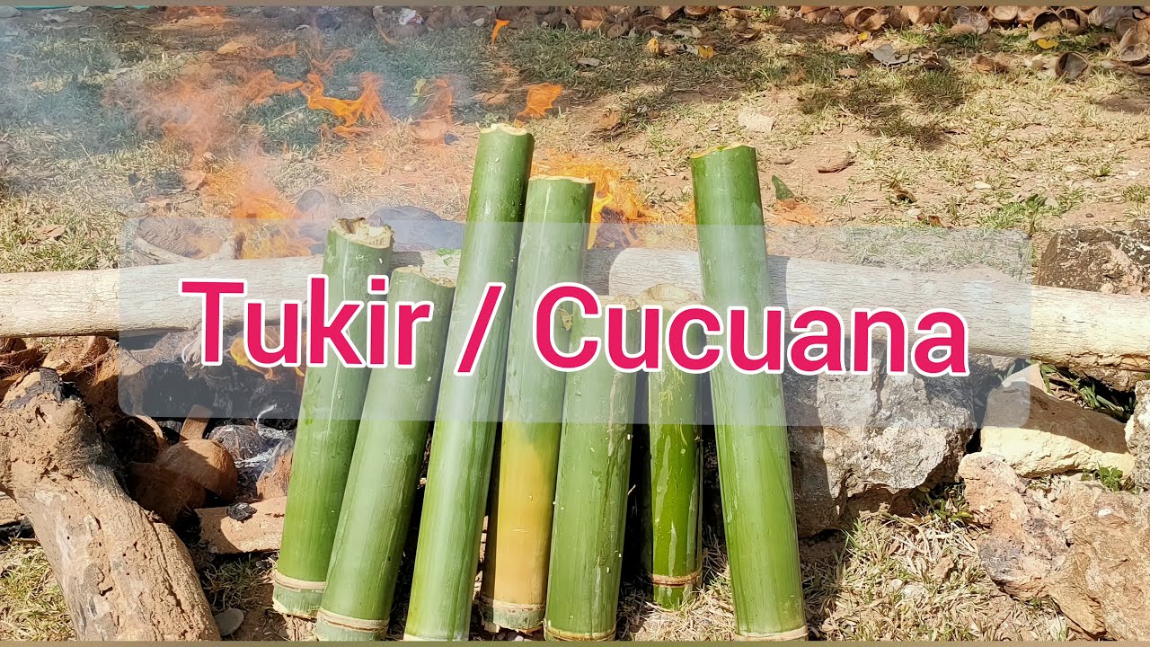 Halo Tukir han too Labele - YouTube