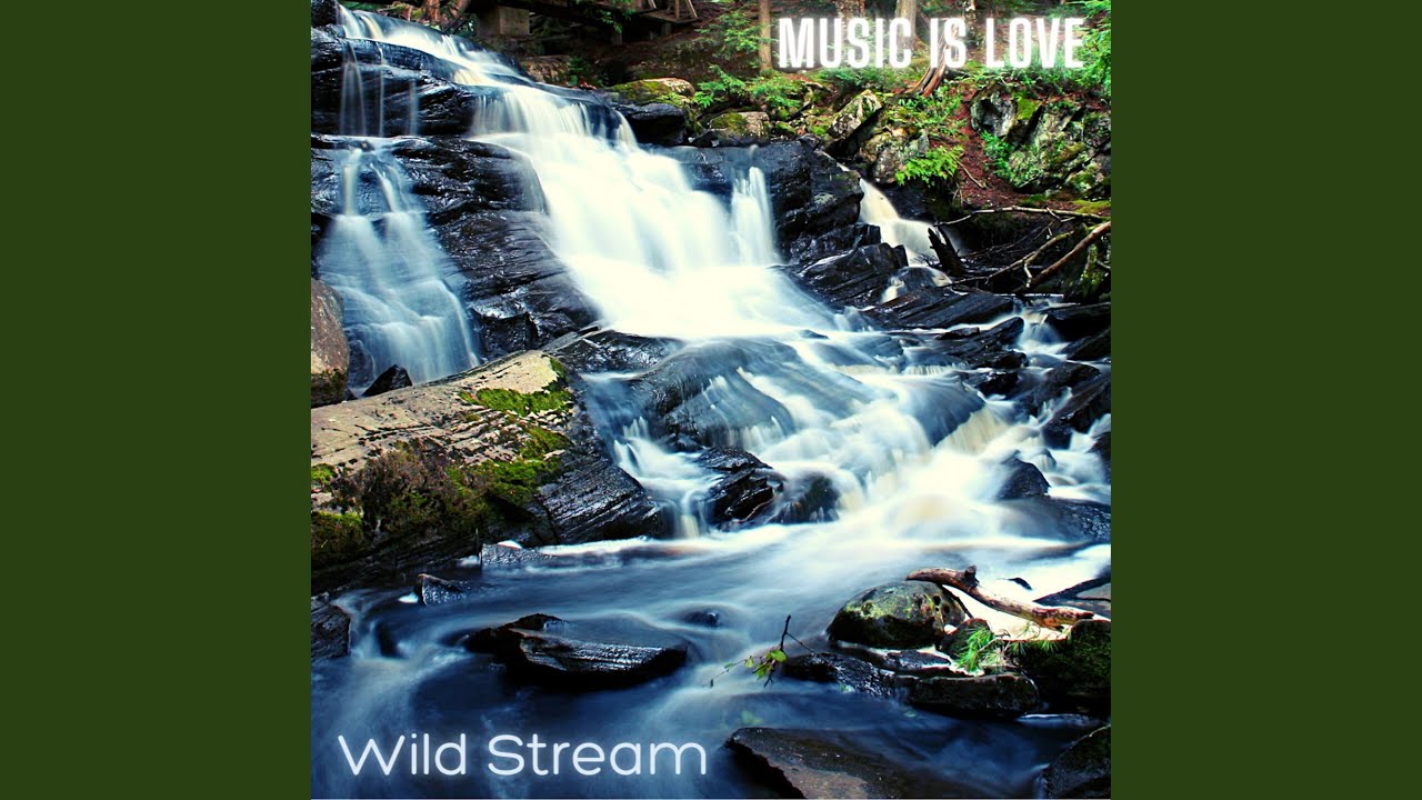 Wild Stream - YouTube
