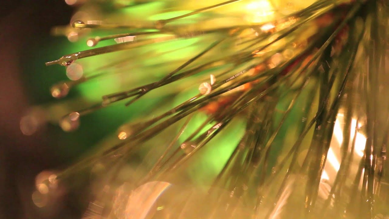 Christmas Tree Canon 5D Mark II - YouTube