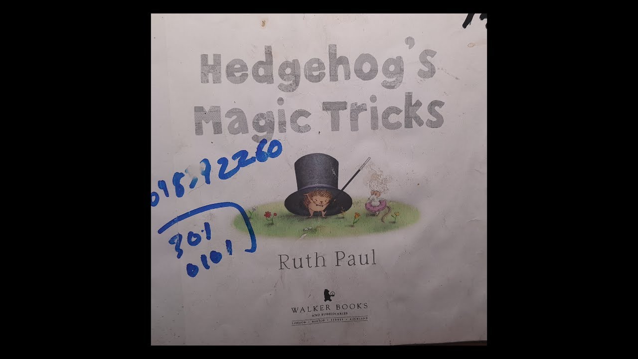 HEDGEHOGS MAGIC TRICKS - YouTube