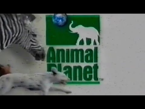 Animal planet -1996 - YouTube