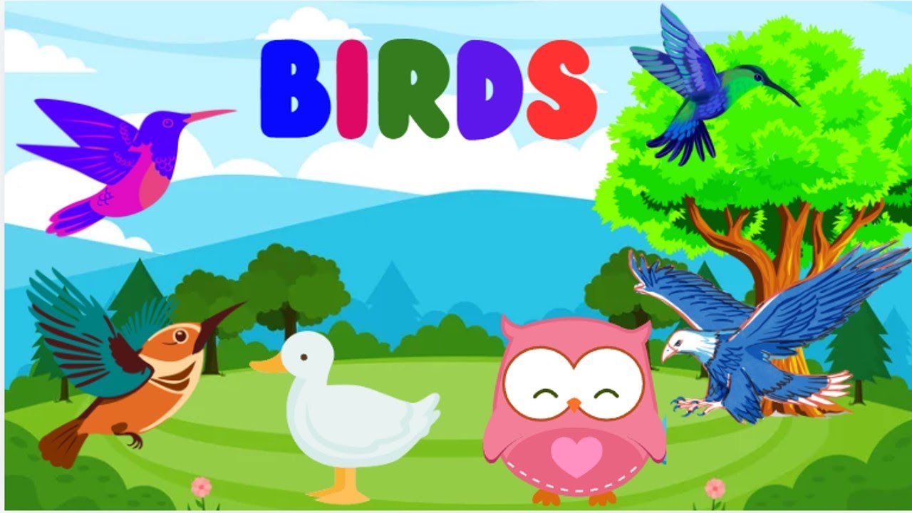 Birds Song | Learn Bird Names with this Fun Animated Kids Video! - YouTube