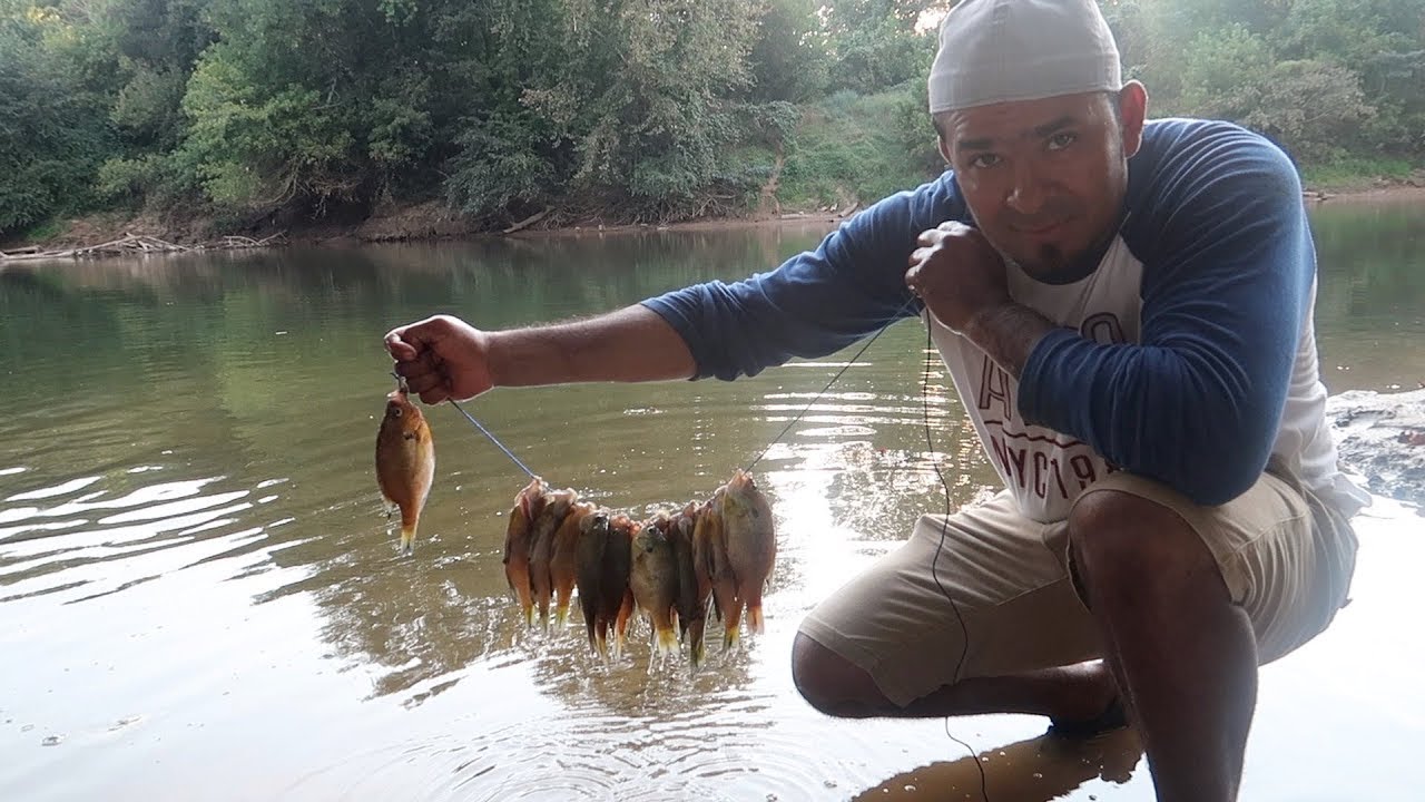 Pesca Y Cocina De Mojarras De Rio - YouTube