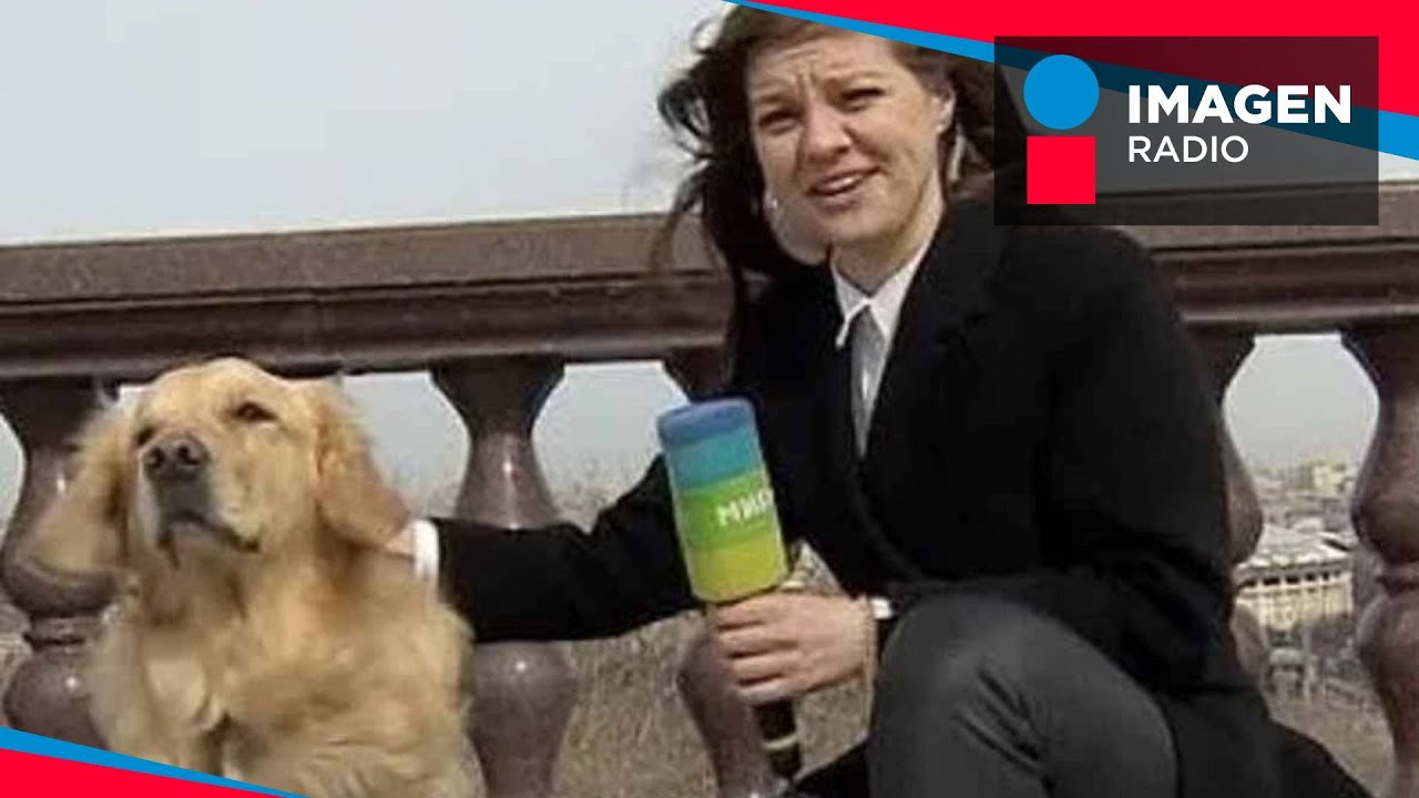 Perrito se roba micrófono de reportera durante transmisión en vivo ...
