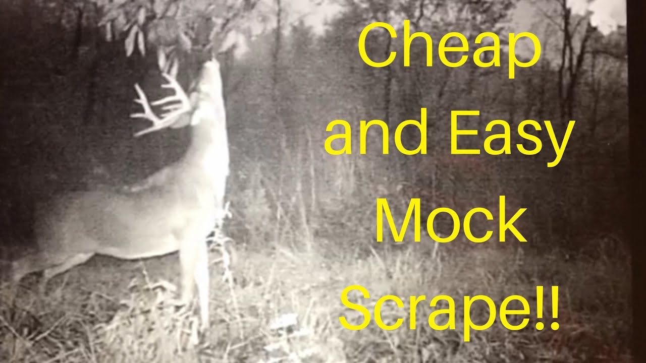 Quick and Easy Mock Scrape Setup - YouTube