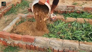 I Turned Dead Soil into a Super Fertile Garden Bed in Just DAYS! Here is how you can do the same