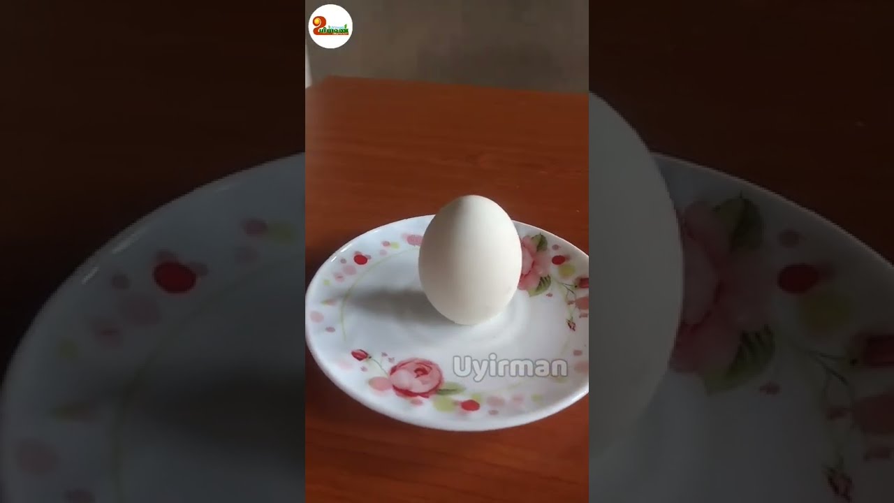 Standing egg magic trick| egg trick| #Shorts - YouTube