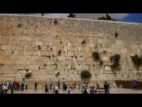 Müsəlmanlar birləşsin  oyan müslüman aleminin kalk ayağa