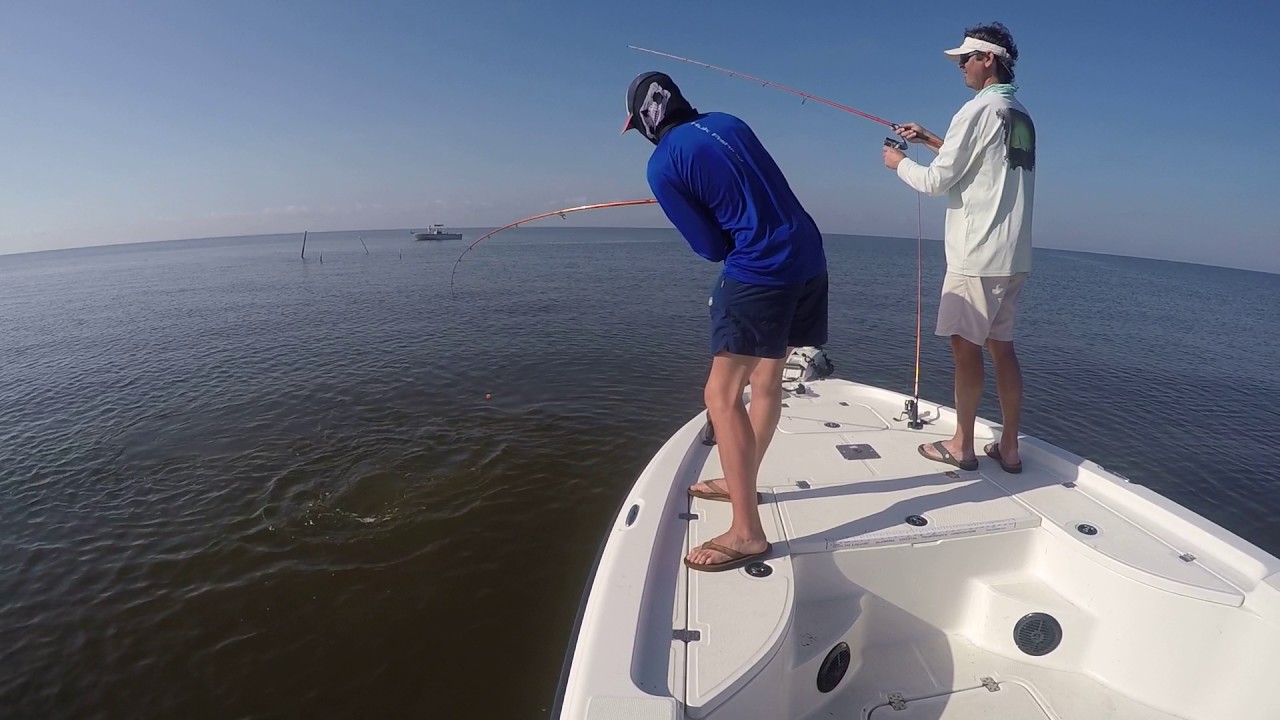 Catching Redfish on the Eastern Shore "raw" - YouTube