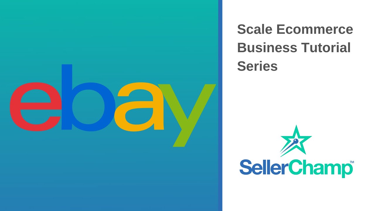 How To Setup And Confirm Your eBay PayPal Email Address - YouTube