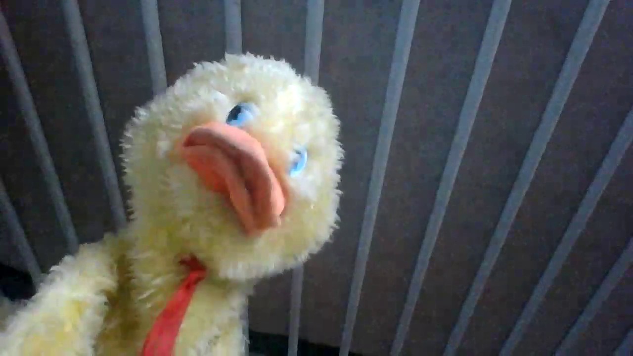 The Mr. Ducker Rap 2 SONG!!! (Quack like a DUCK!!!) - YouTube