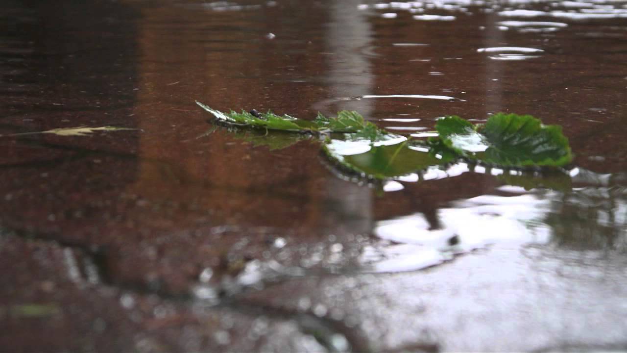 Somewhere (by Pascal Pinon) - Lyric Video - YouTube