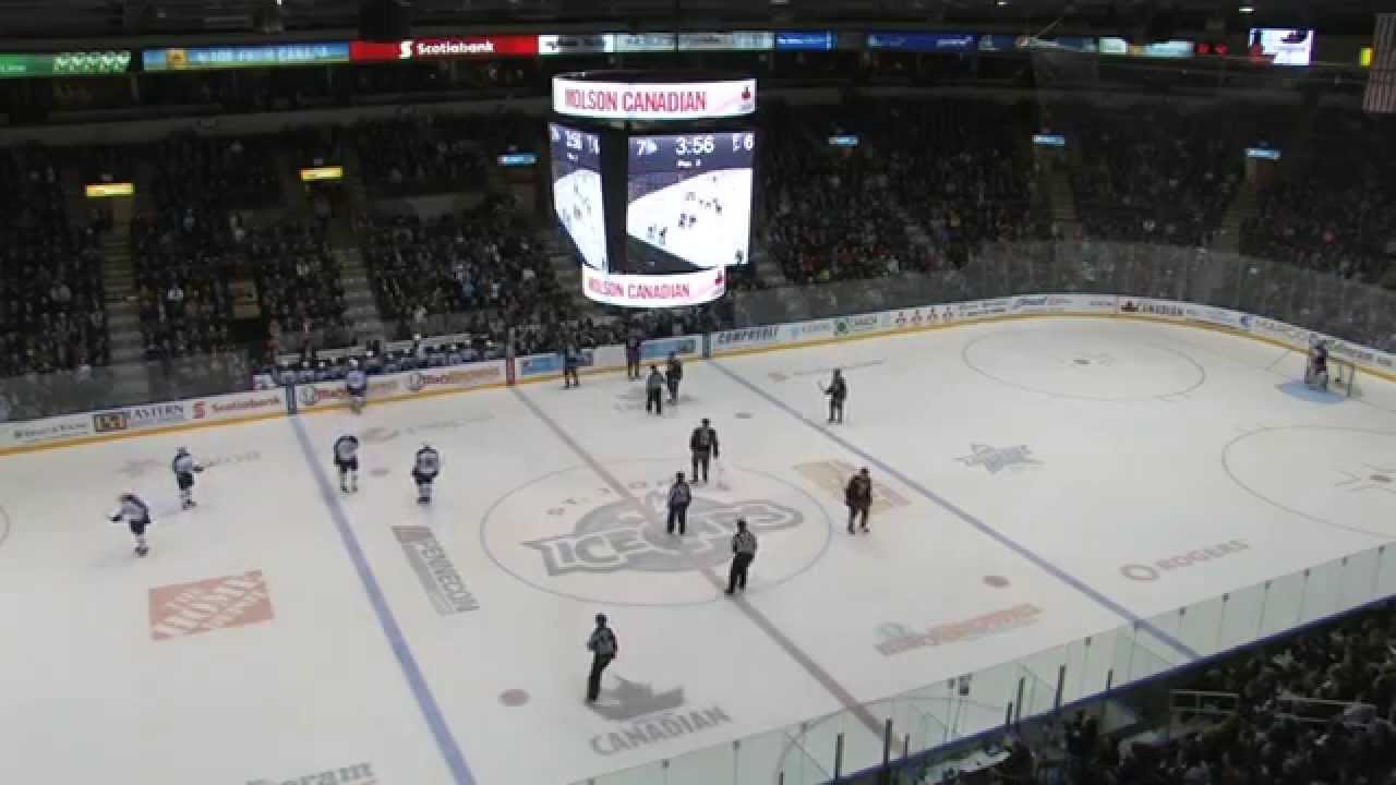 St. John's IceCaps vs. Springfield Falcons (April 4th, 2014) - YouTube