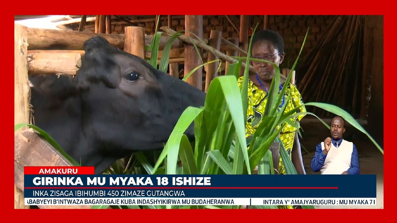 Inka zisaga ibihumbi 450 nizo zimaze gutangwa mu myaka 18 ishize ...