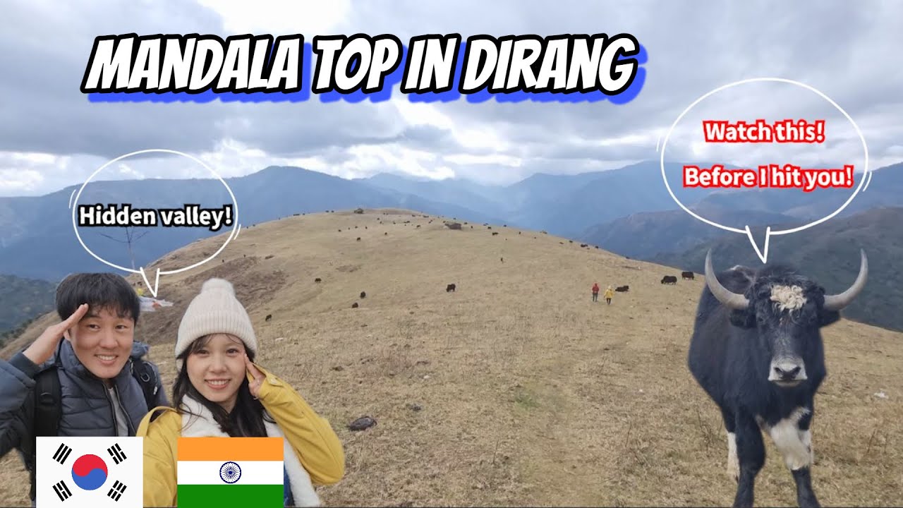 (EP.9) Hidden valley Mandala top in Dirang with Korean & Indian couple ...