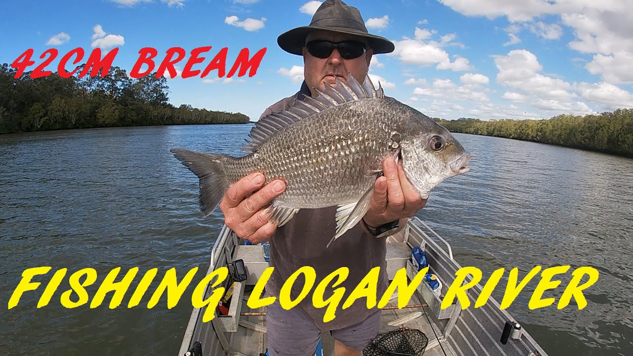 LOGAN RIVER FISHING 25TH JULY 2025 - YouTube